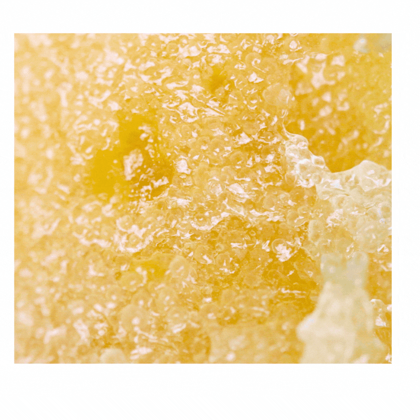 Contact – Texture Visuals